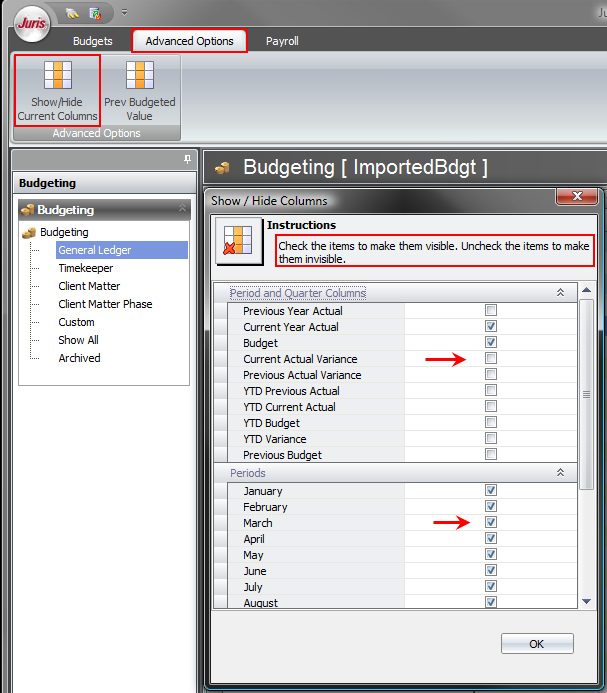 Budget Advanced Options – Juris Suite