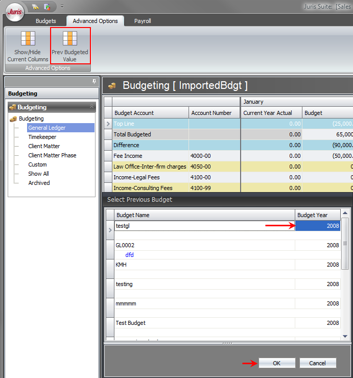 Budget Advanced Options – Juris Suite